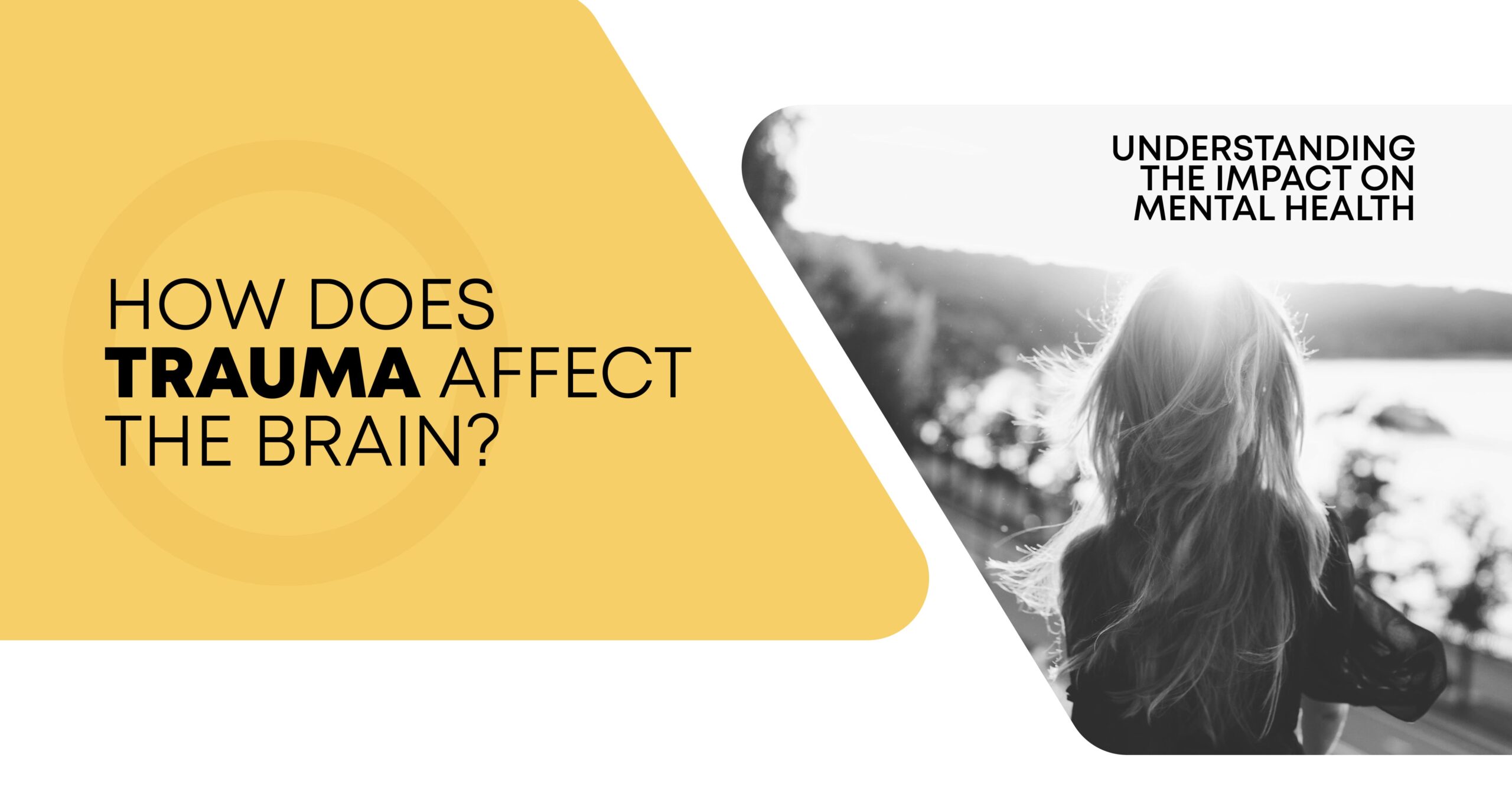How Does Trauma Affect the Brain? - Shine Mental Health